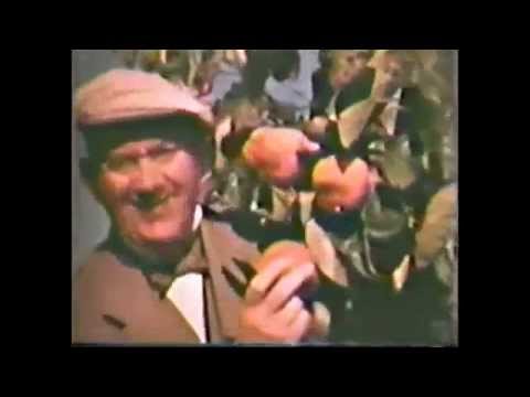 Testigos de Jehová(Una semblanza del Juez J F Rutherford como ...