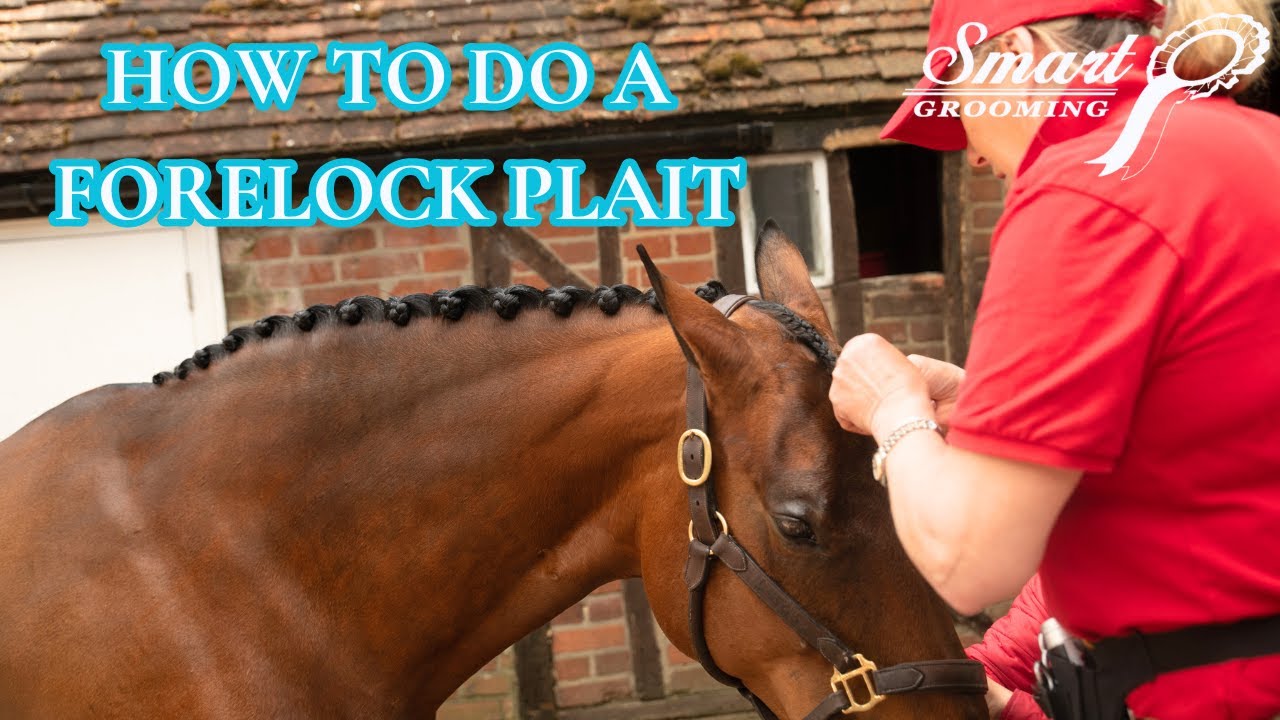 HOW TO PLAIT A FORELOCK - YouTube