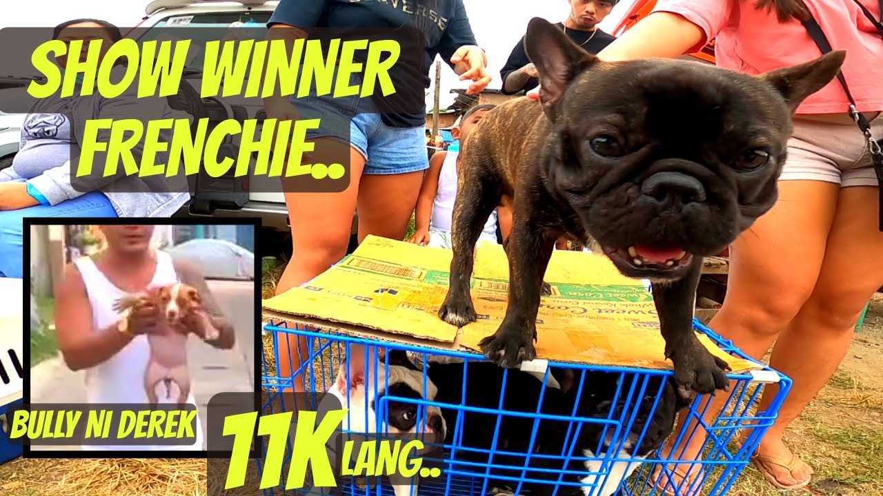 MGA BULLY NI DEREK RAMSAY 11K LANG, Nego pa... - YouTube