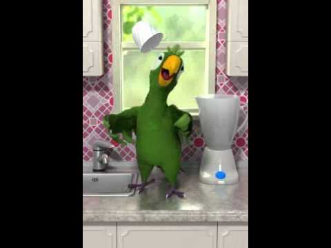 Talking Paulie Parrot: LOVE CRAZY!?!?!?! :) - YouTube