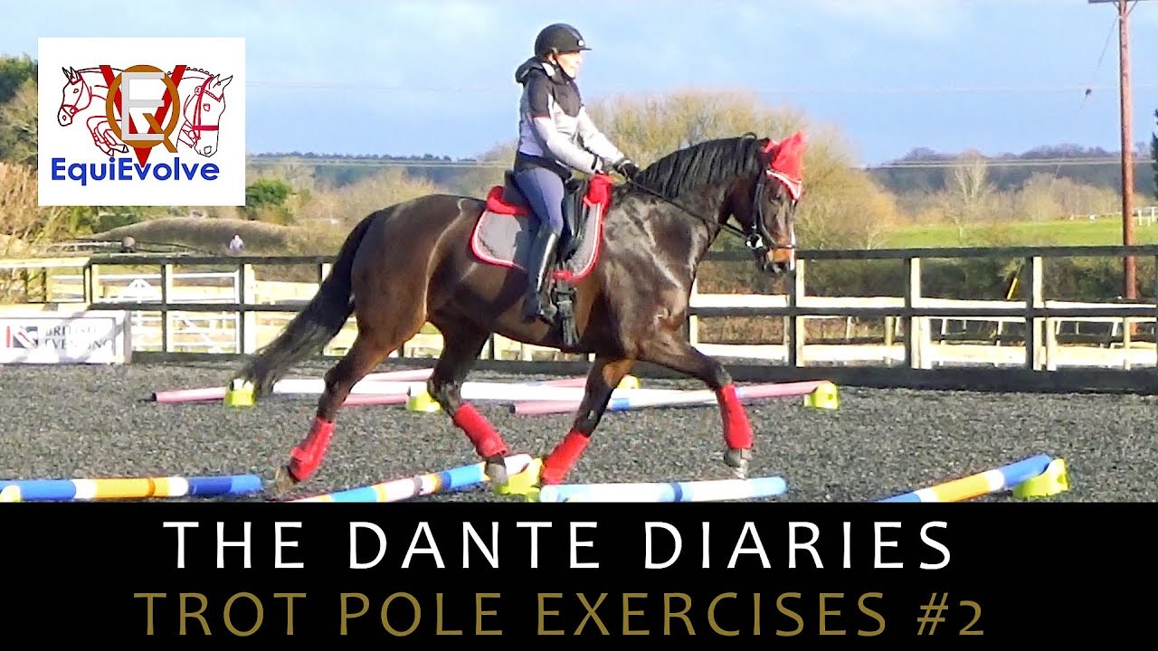 Trot Pole Exercises Including Leg Yielding - YouTube