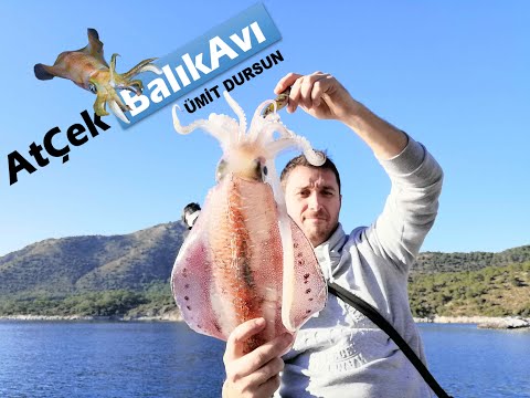 Atçek BalıkAvı, Yakaladığım En Büyük Kalamar Buydu.