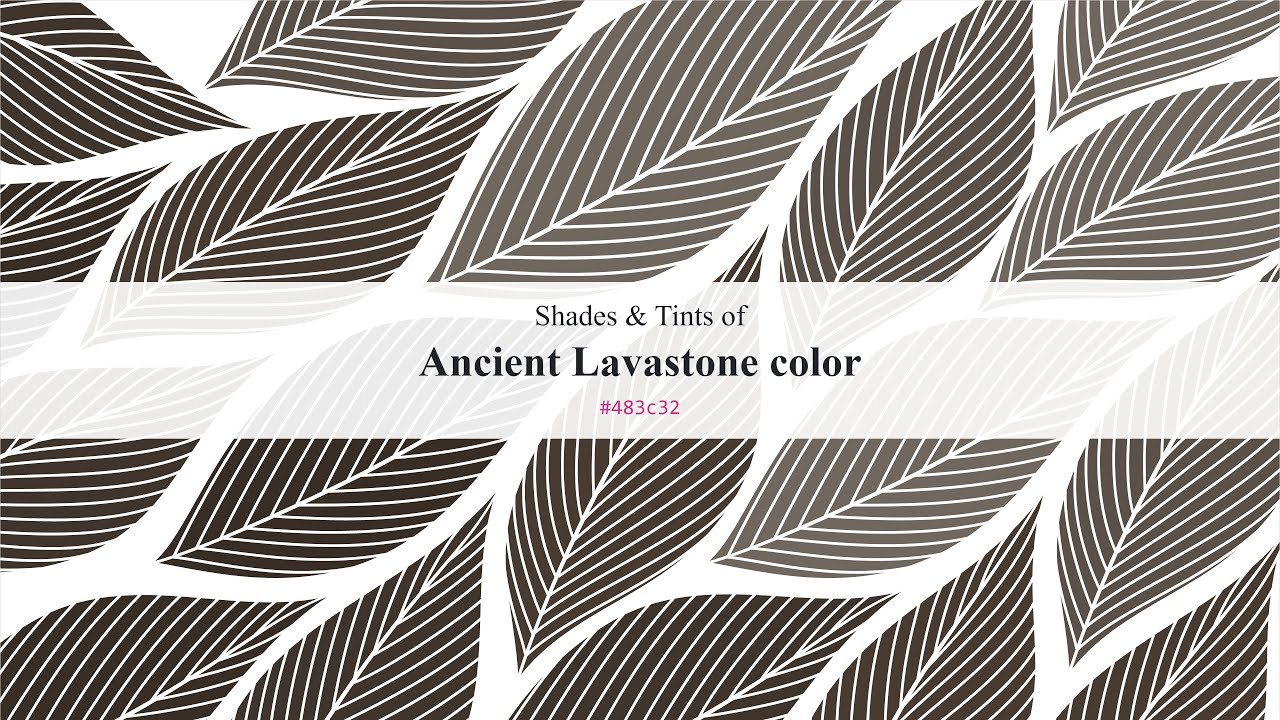 Shades & Tints of Ancient Lavastone color #483c32 A Cool Grey color ...