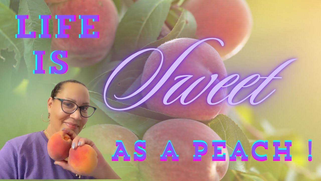 All things Peaches at Peach Park, Clanton AL - YouTube