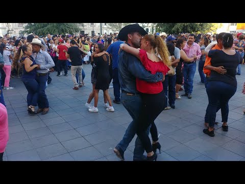 Al estilo satevo🎹 🎶Notas de sociedad