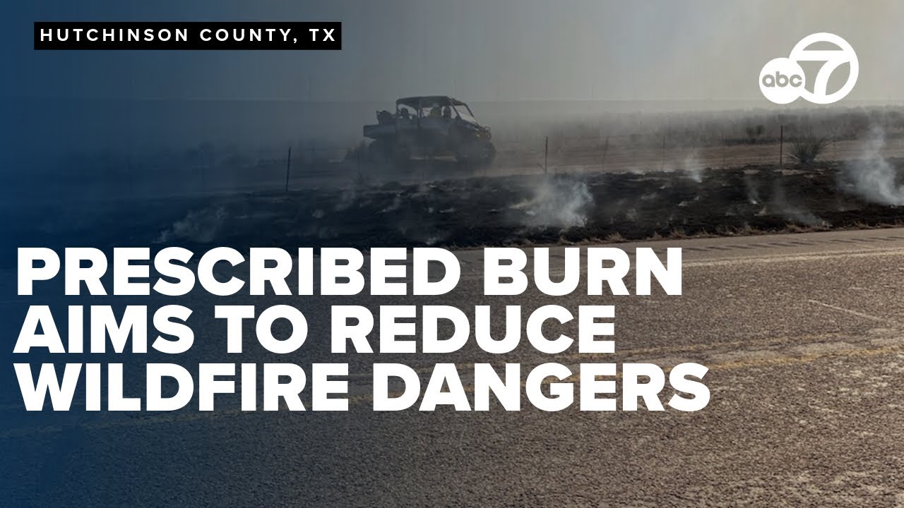 Prescribed burn aims to curb wildfire risks as season nears in Texas ...