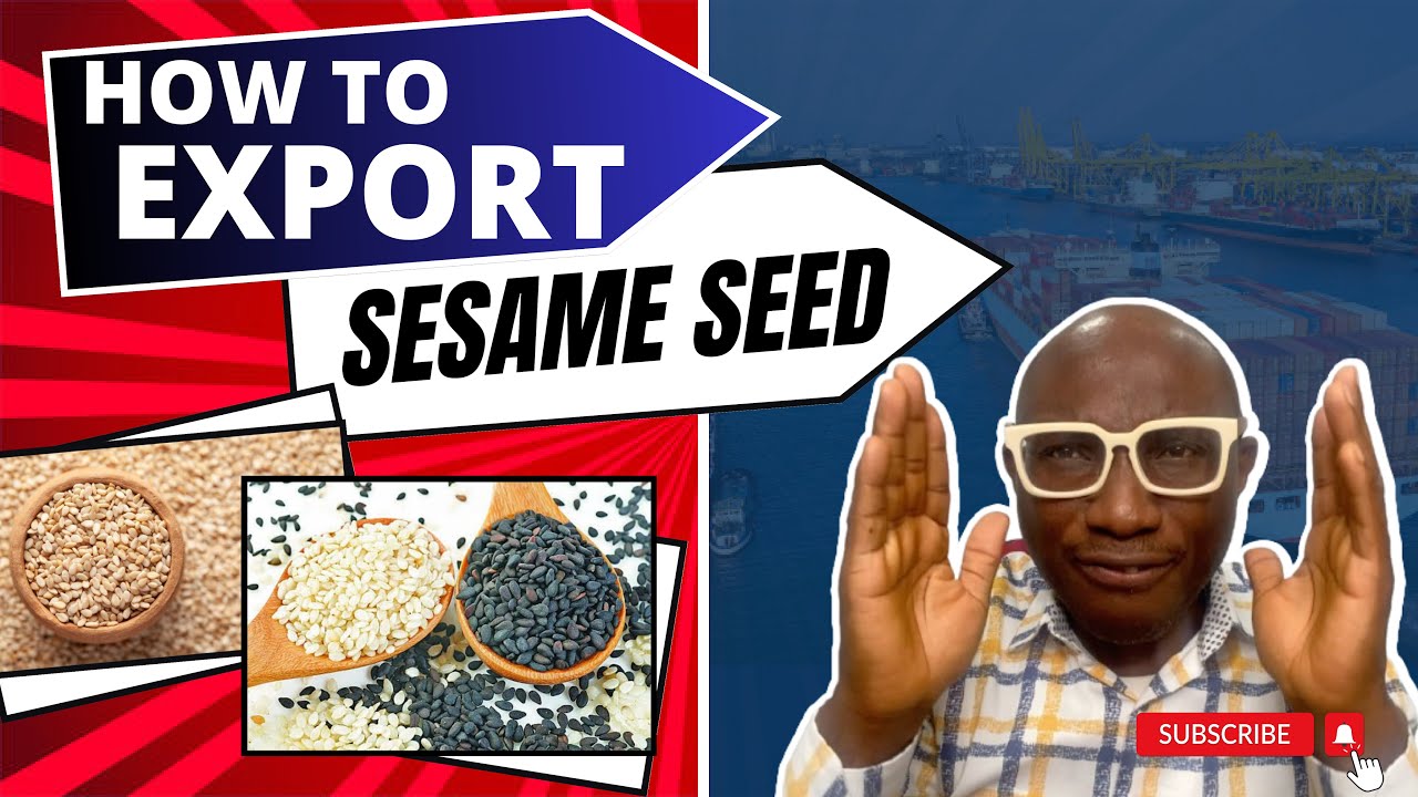 How To Export Sesame seed From Nigeria - YouTube