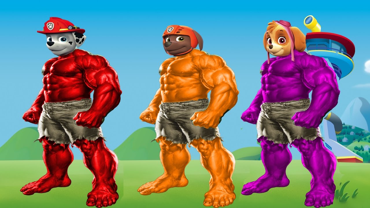 Paw Patrol Hulk Transformation | Chase, Rubble, Skye, Marshall, Zuma ...