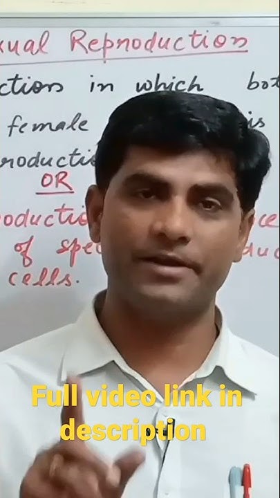 Sex Cells Germ Cells Gametes Male Gamete Female Gamete Define Sex Cells Youtube