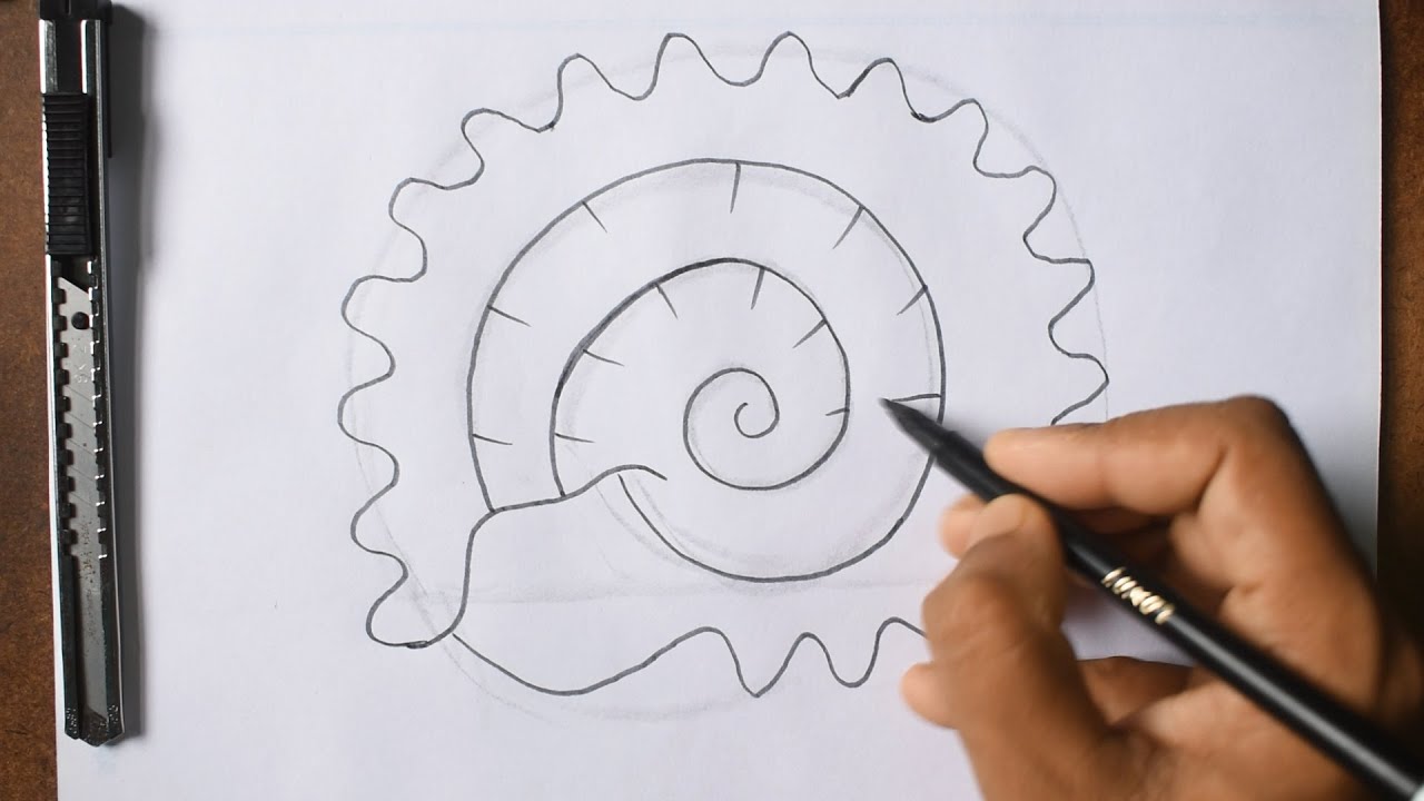 Sea Snail Art: Step-by-Step Pencil and Pen Line Drawing Tutorial for ...