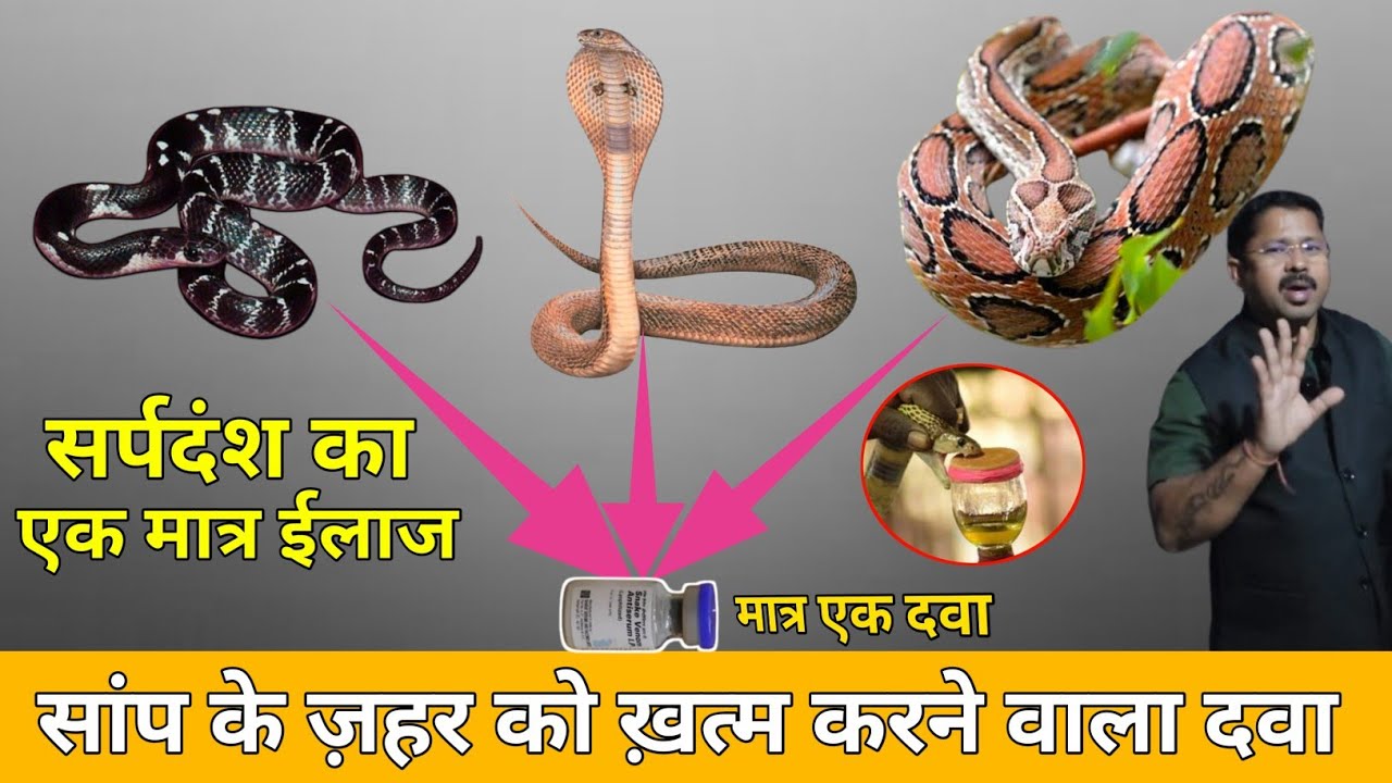 सांप के ज़हर को ख़त्म करने वाला दवा 🐍। मात्र एक Injection 😱। Snake ...