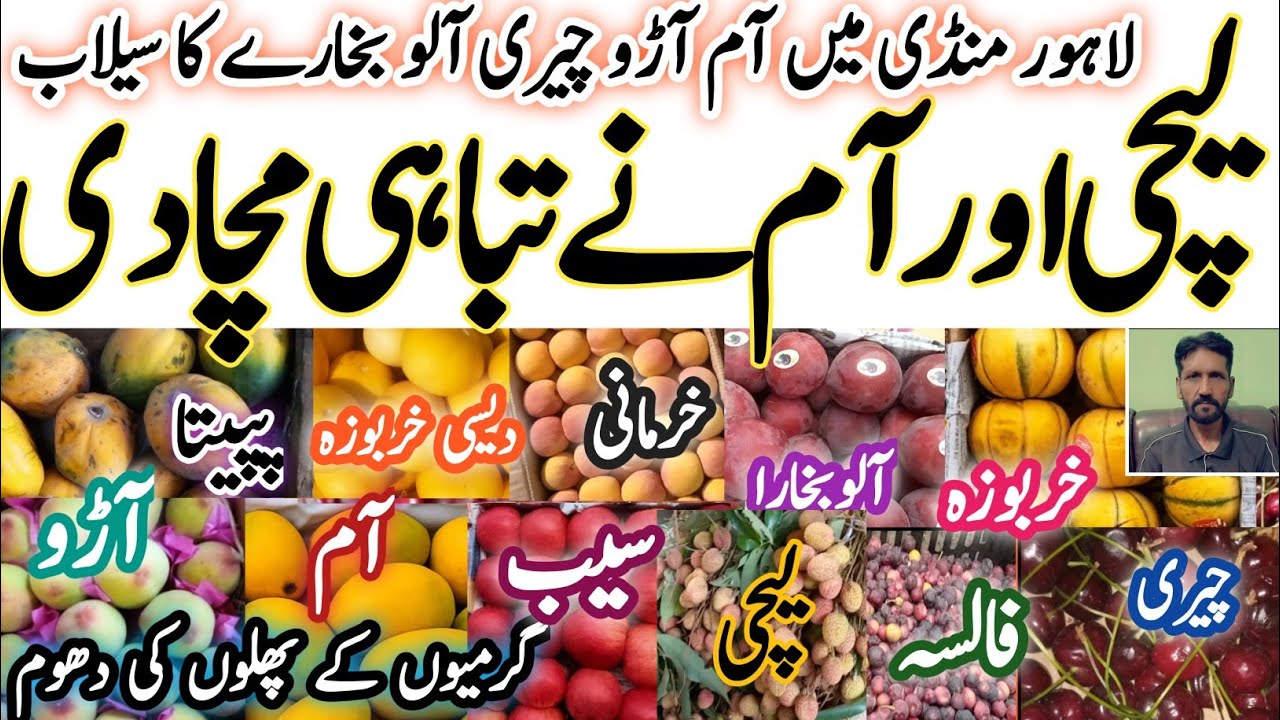 May 28,2025|Lahore Fruit Mandi Rates Today|Pakistan national Fruit ...