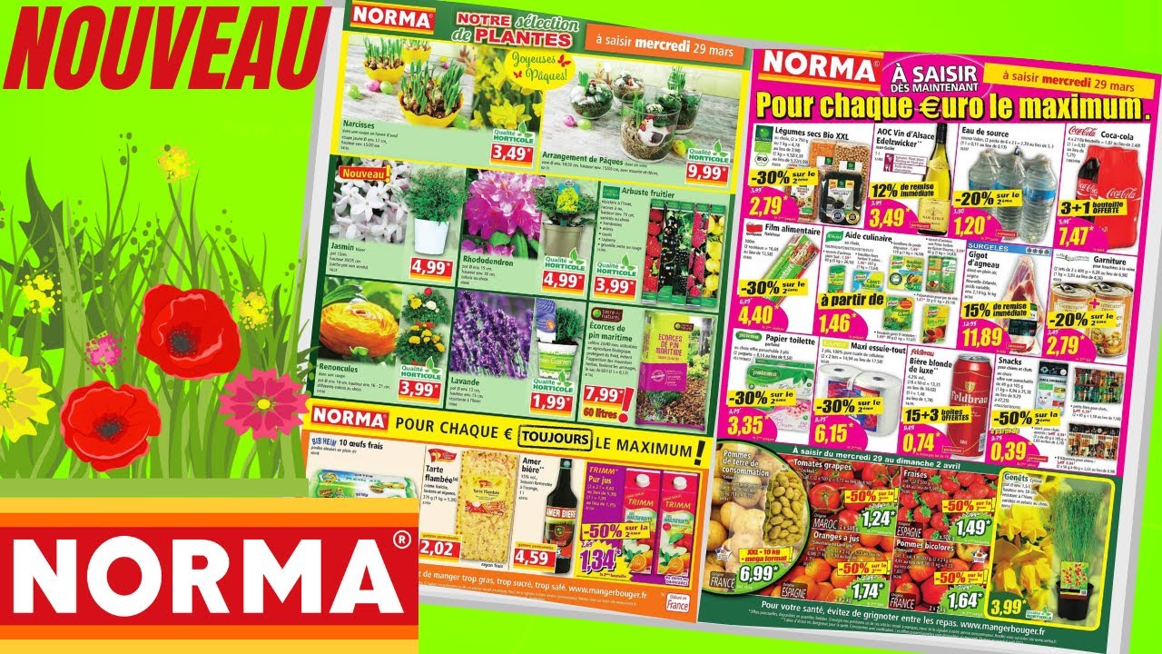 catalogue NORMA du 29 mars au 3 avril 2023 🌞 Arrivage - PUB prospectus ...