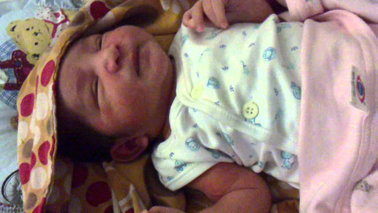 day 2 planet earth.MP4 - YouTube