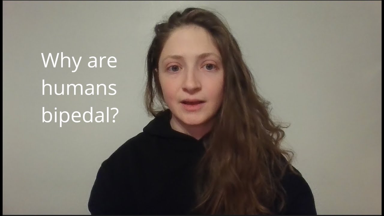 Why are humans bipedal? (Evolution with a side of physics) - YouTube