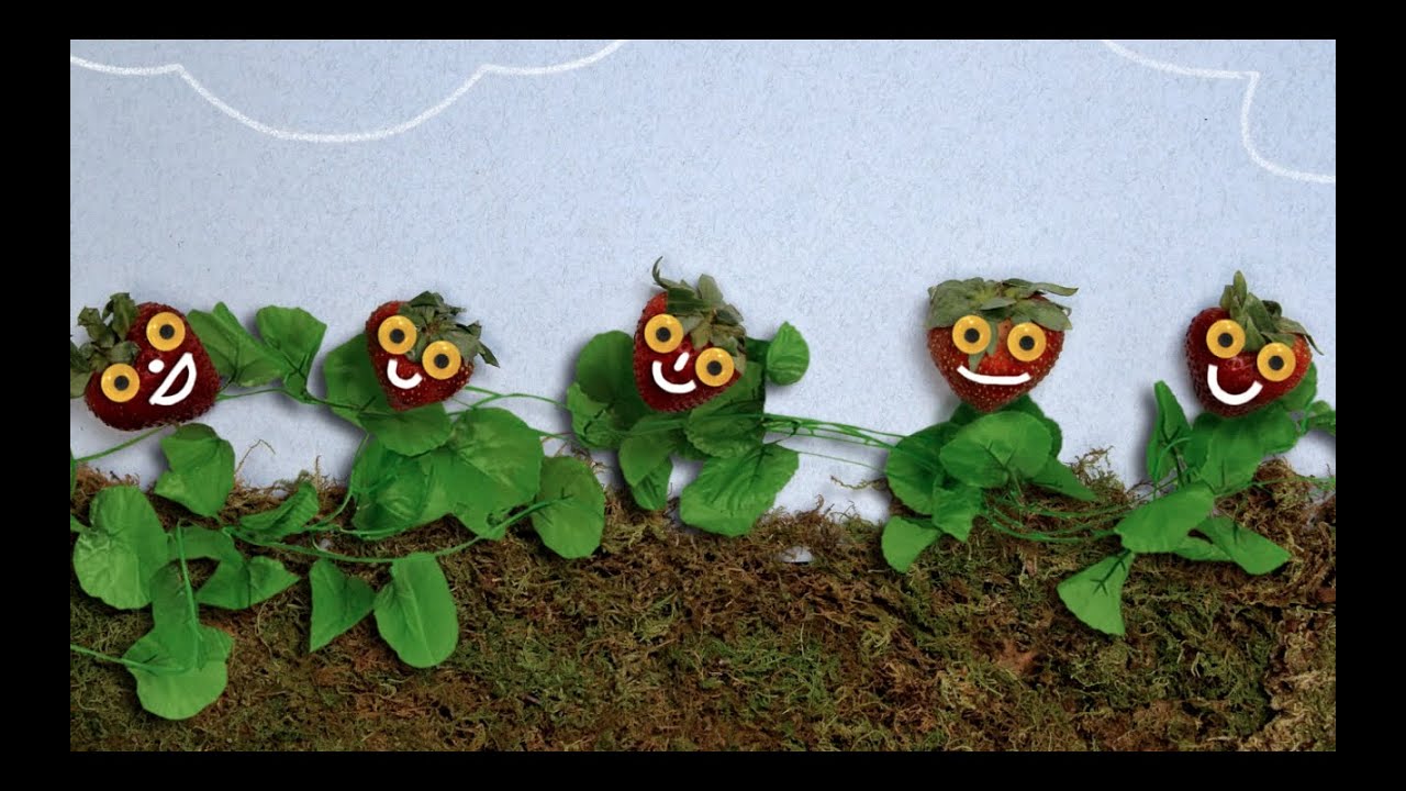 A Brief History of the Modern Strawberry - YouTube