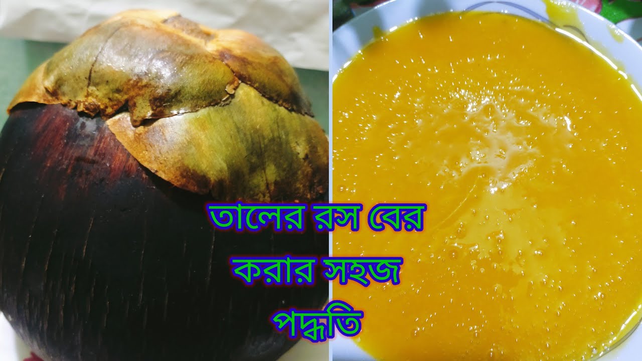 খুব সহজ পদ্ধতিতে তালের রস নিতে পারেন/ how to take taler rosh easy ...