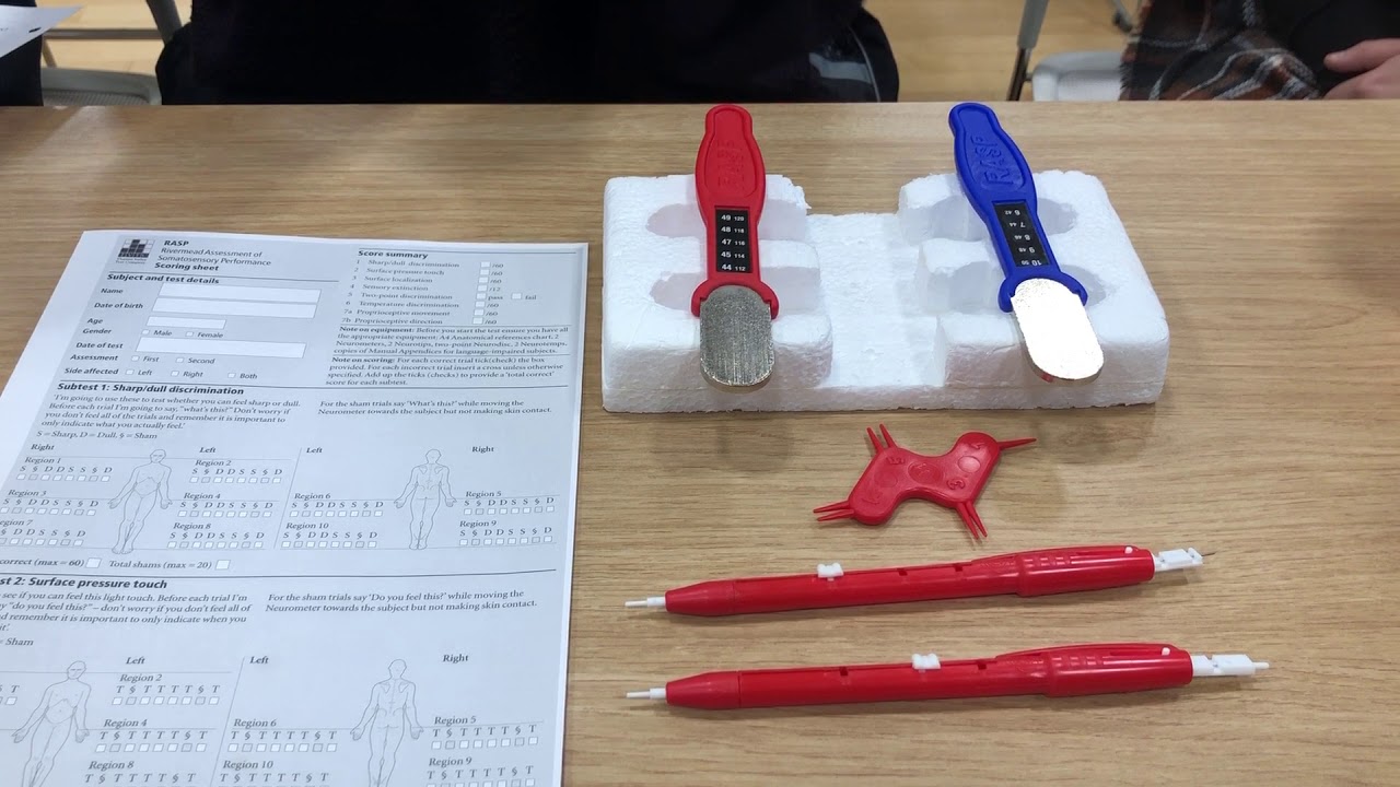 S18 Group 6 demonstrate the Rivermead assessment of somatosensory ...