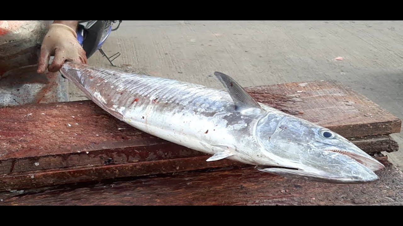SEER FISH CUTTING | KING FISH CUTTING - YouTube