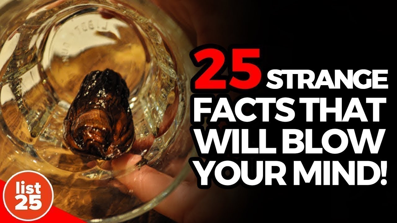25 Strangest Facts Guaranteed to Blow Your Mind - YouTube
