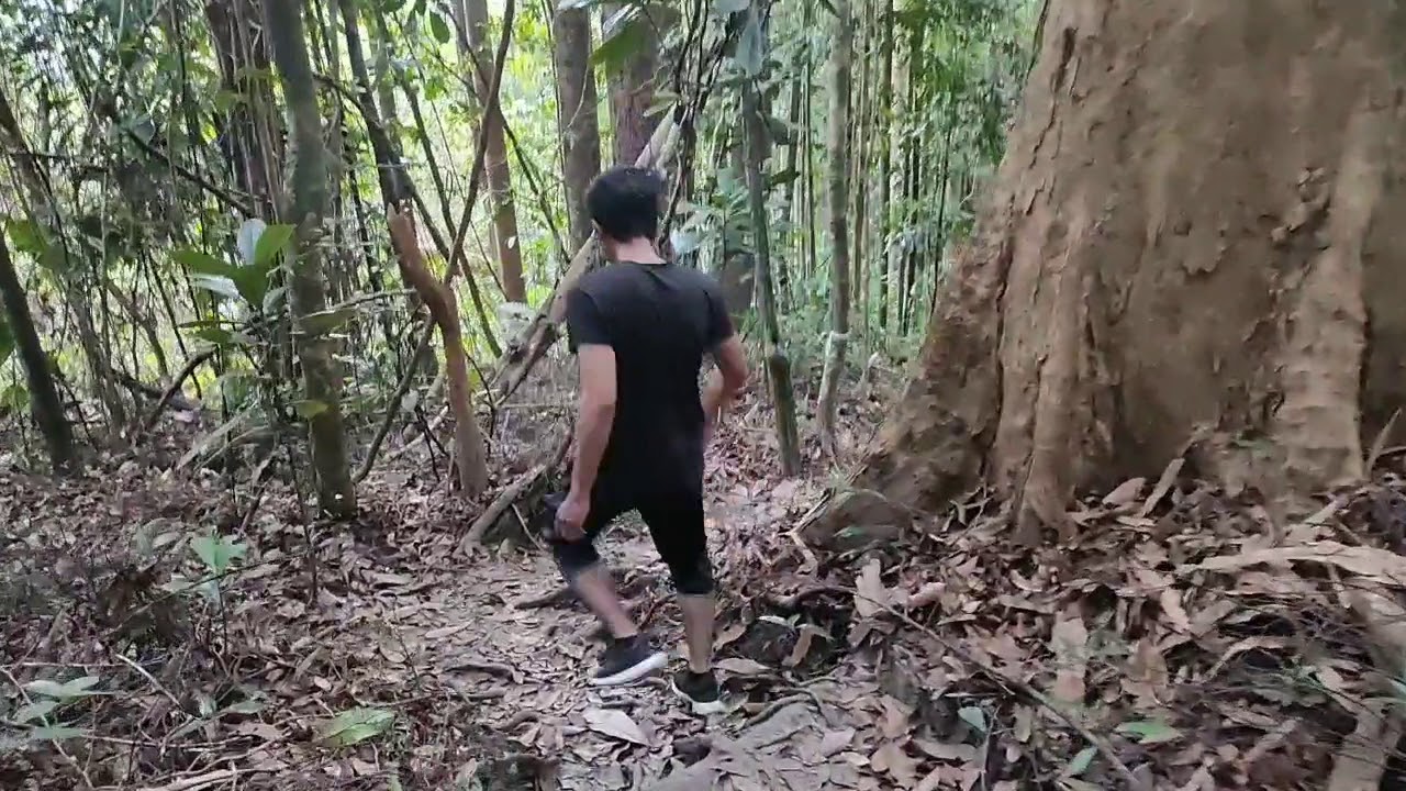 Hiking trail Bukit Bauk, Dungun - YouTube