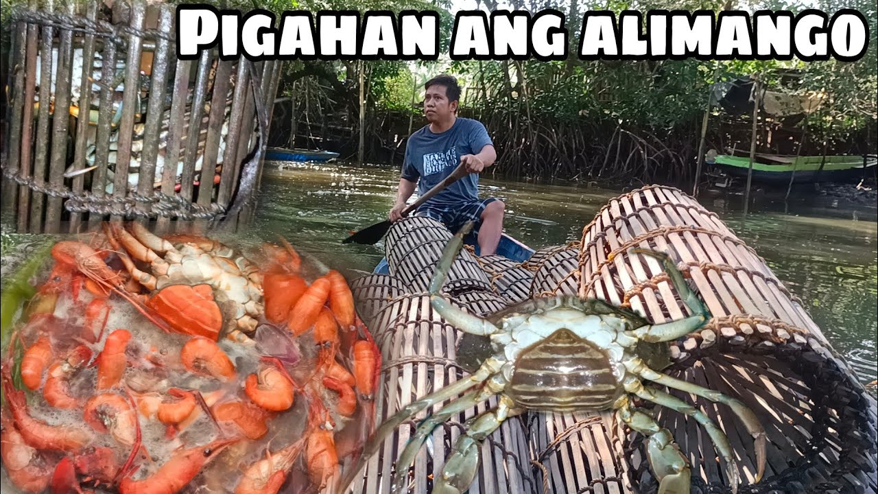 Mataba ang huling Alimango sa bubo/ganado Si maloy kumain Vlog #384 ...