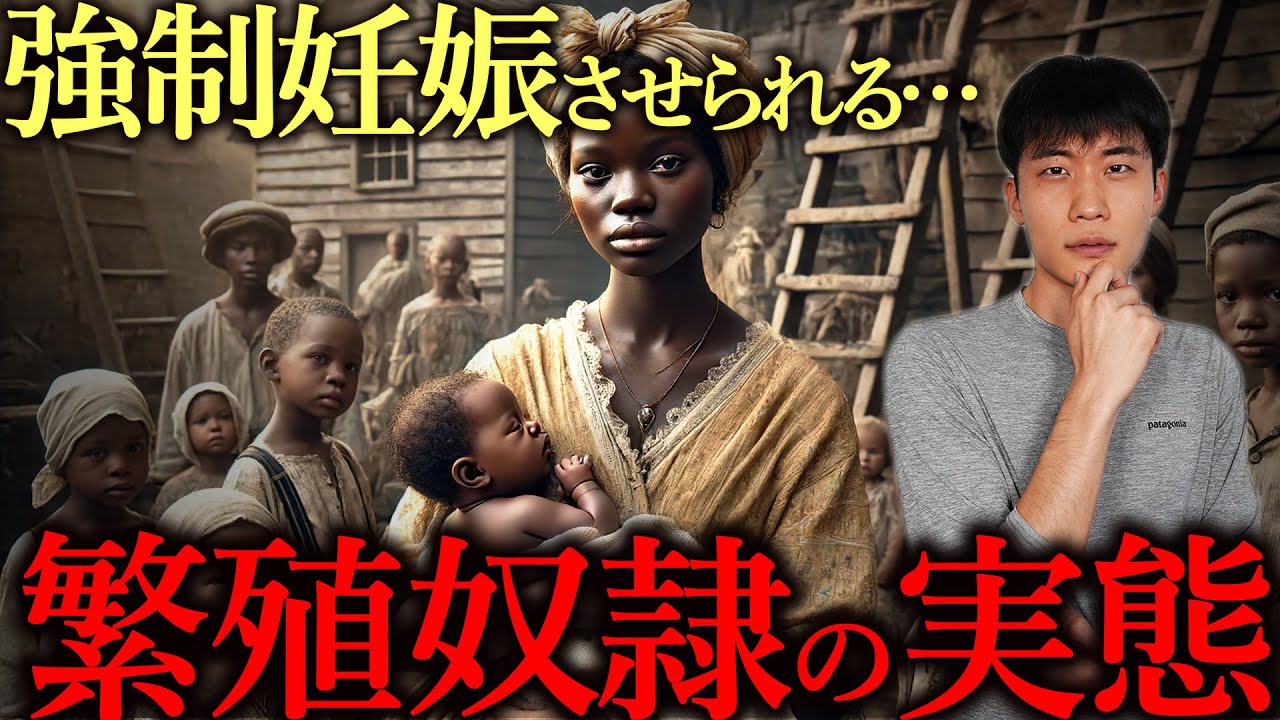 【実話】アメリカで行われていた「奴隷繁殖」の実態を解説 Youtube 6330