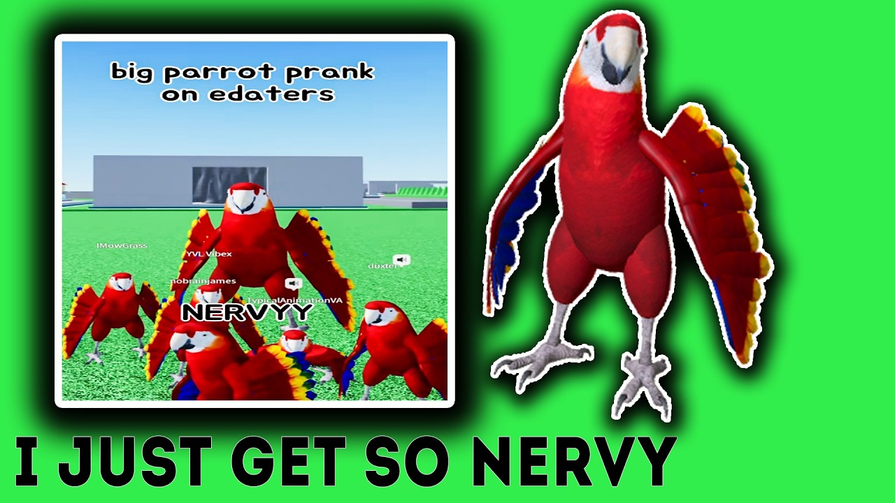 i just get so nervy roblox parrot - YouTube
