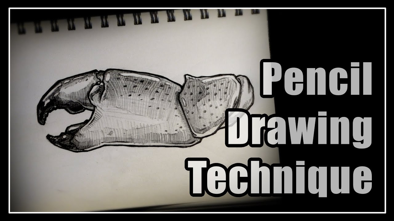 집게발 그리기. / Pencil Drawing Technique. / Drawing process. - YouTube