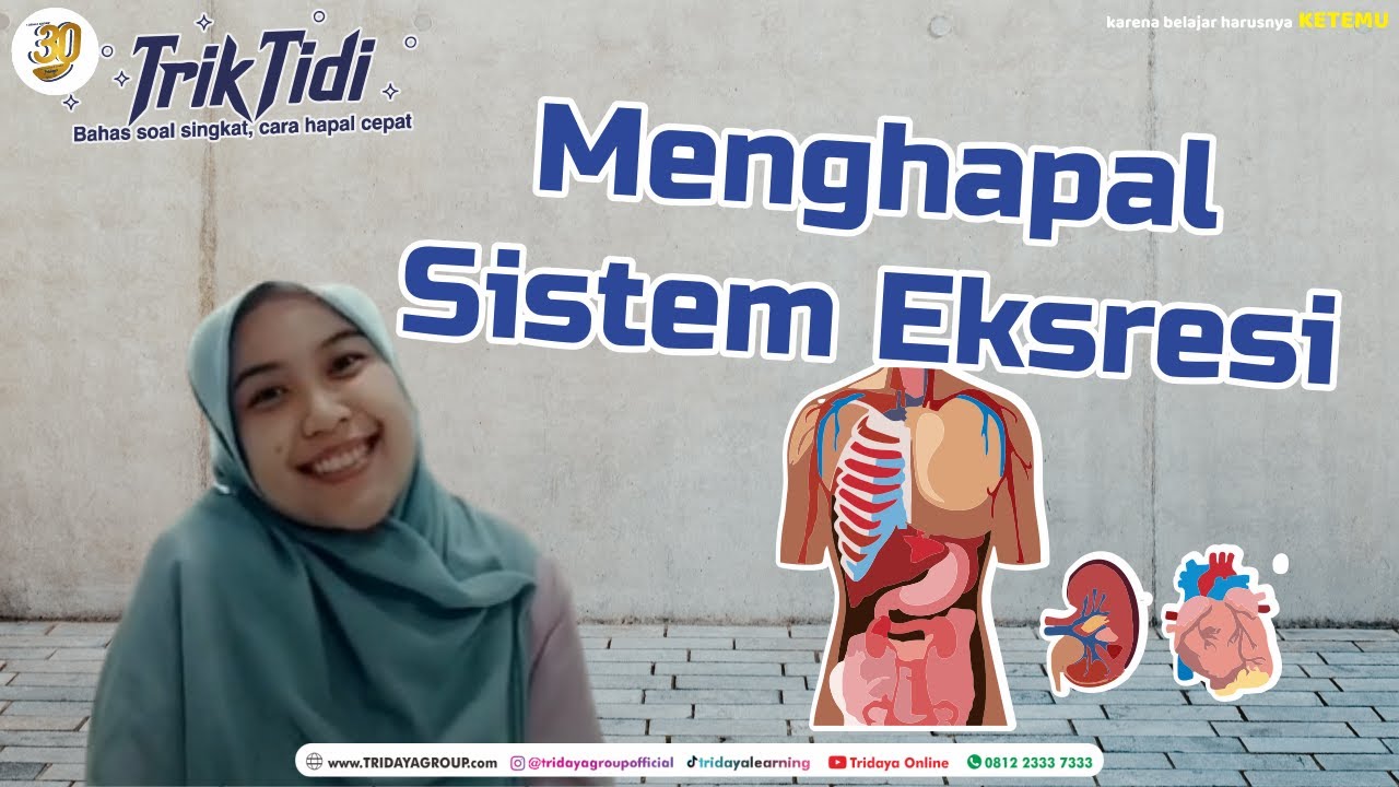 Trik Tidi - IPA Biologi - Sistem Eksresi - Bimbel Tridaya Online - Kak ...