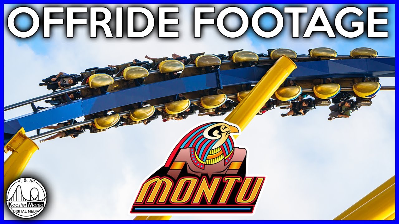 Montu | Busch Gardens Tampa | 4K Off-ride Footage | Non-Copyright ...