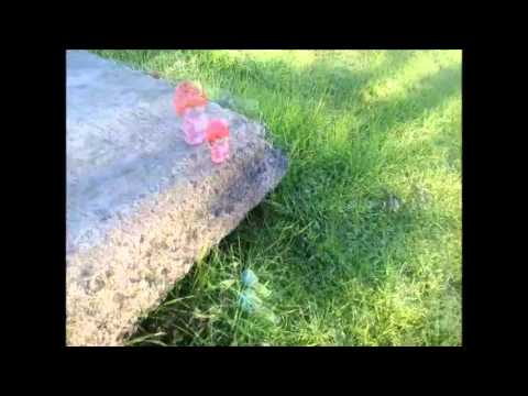 Poneo y Pinieta Rubén Zarraute