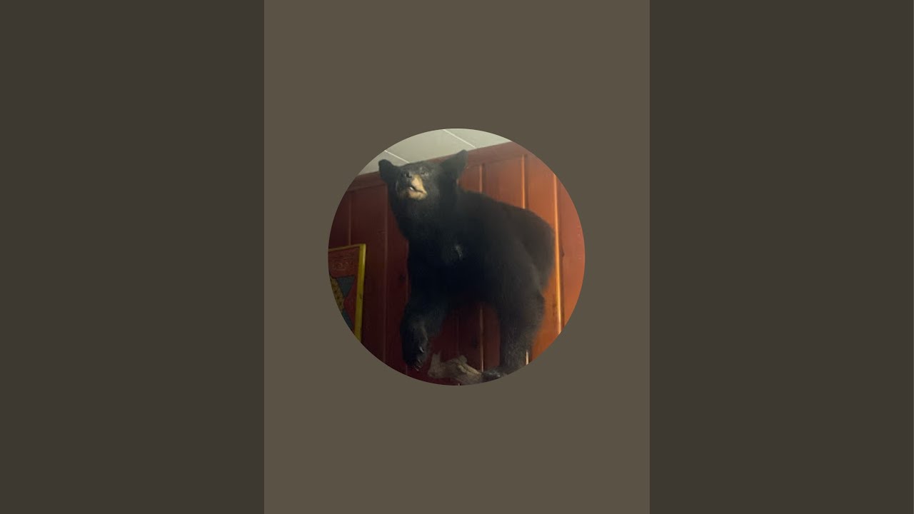 Andrew Veith is live! - YouTube