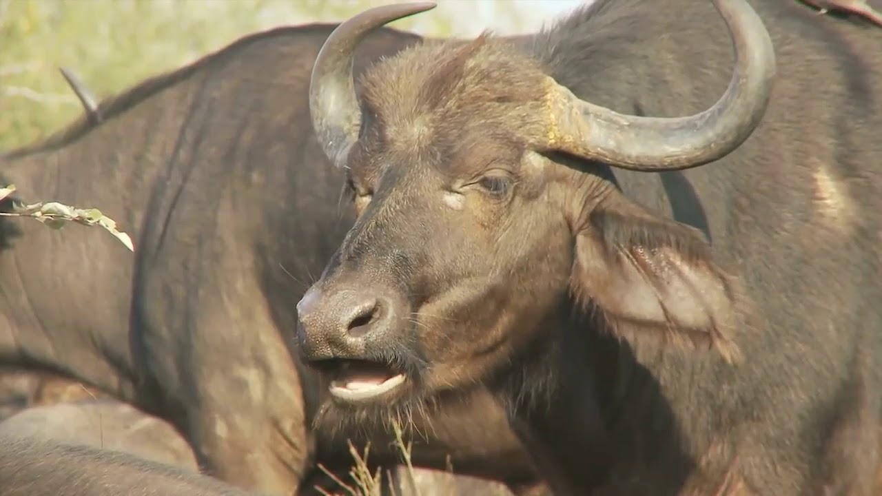 EYFS Asia session 2 - YouTube