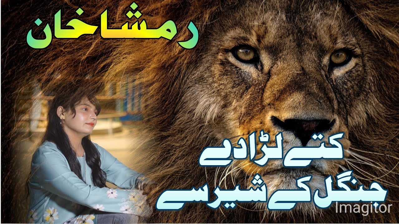 Kutay Lara Diey Jungle k Sher Sy Rimsha Khan Singer murshid shandar ...