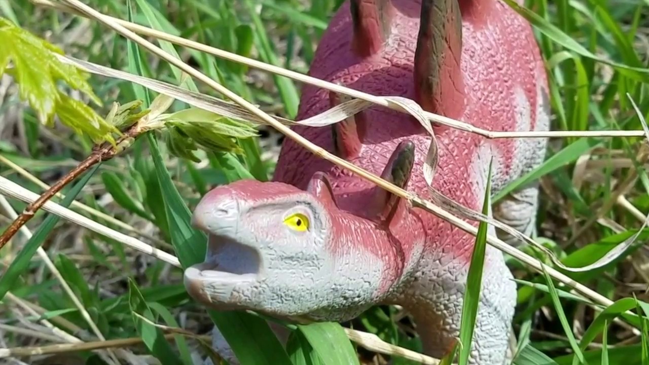 Stegosaurus Song - Dinosaur Videos for Kids - YouTube