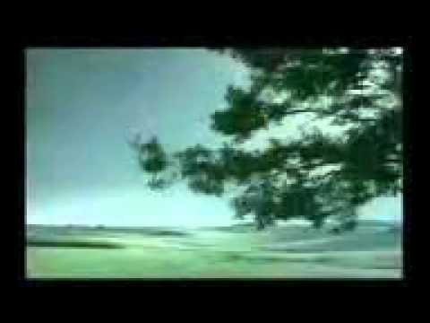 Sagopa Kajmer   Mevsimler Gibisin Klip Orjinal Değil 2010   By Mahsun KARACA   YouTube