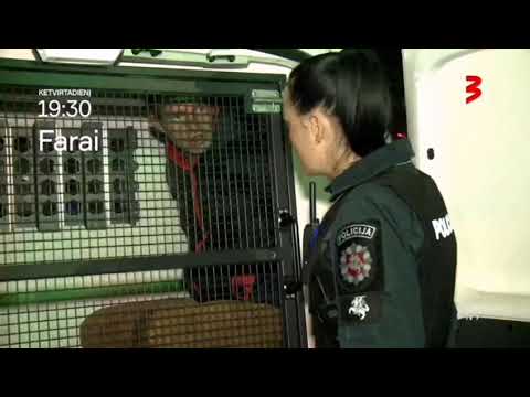 FARAI - balandžio 22 d. anonsas 2