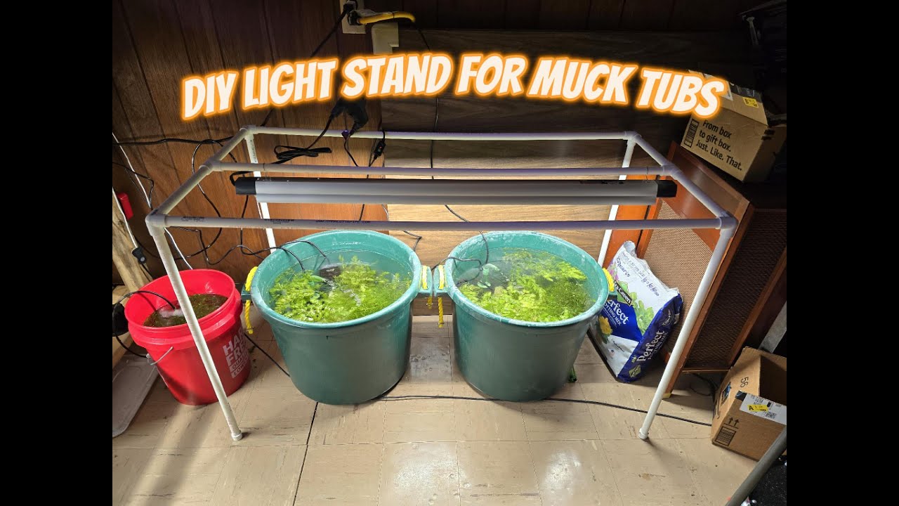 DIY Light Stand For Indoor Tubs and Fis updates - YouTube