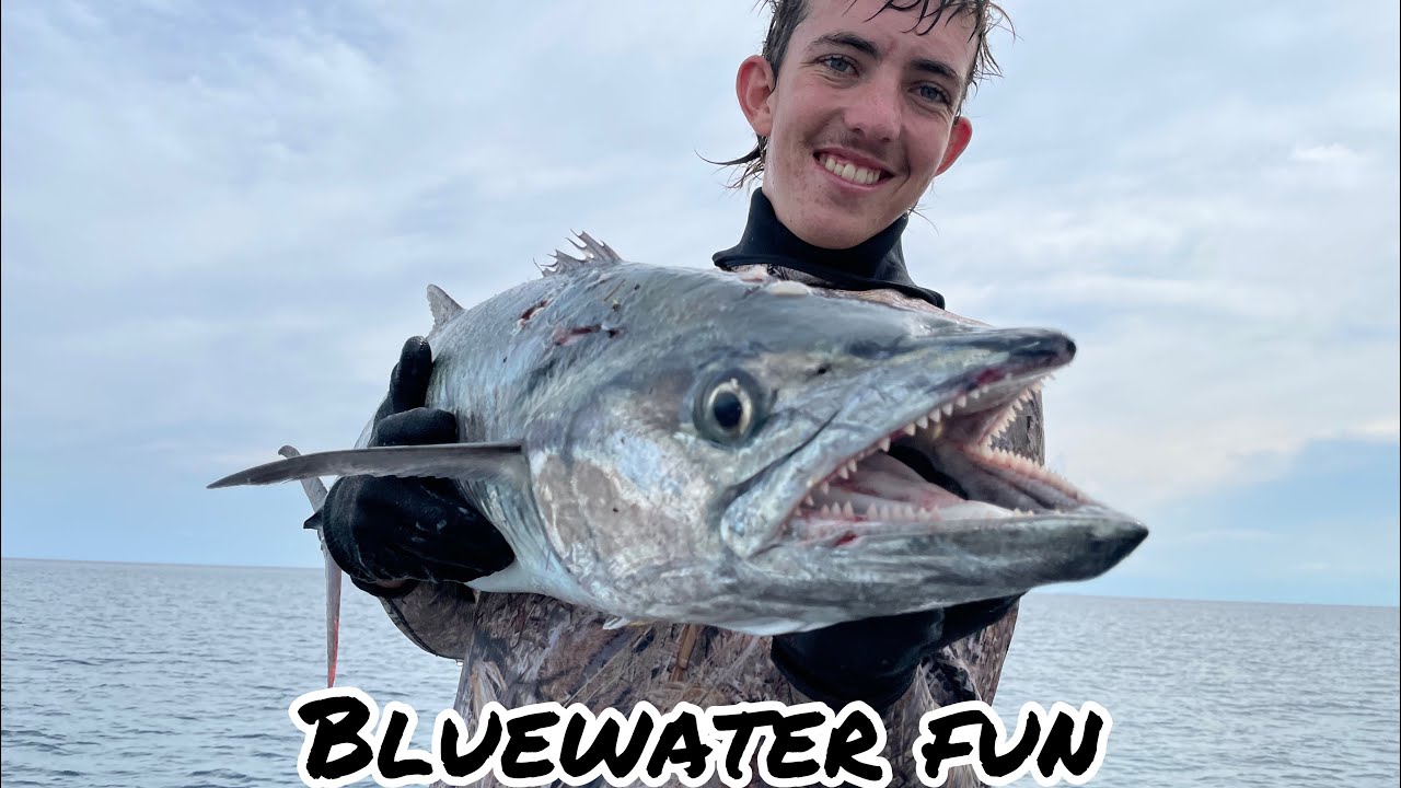 Chasing Some of the Best Fish! Gove Arnhem Land! Spearfishing Coral ...