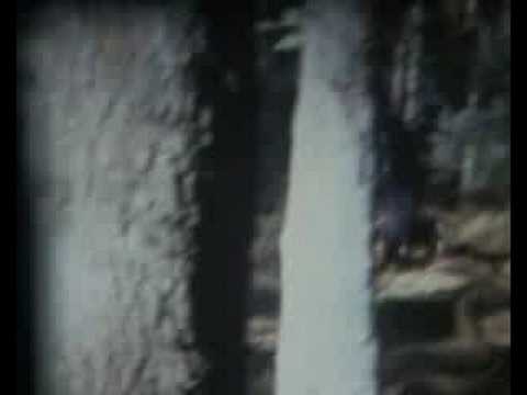 Super 8mm Monster Footage - YouTube