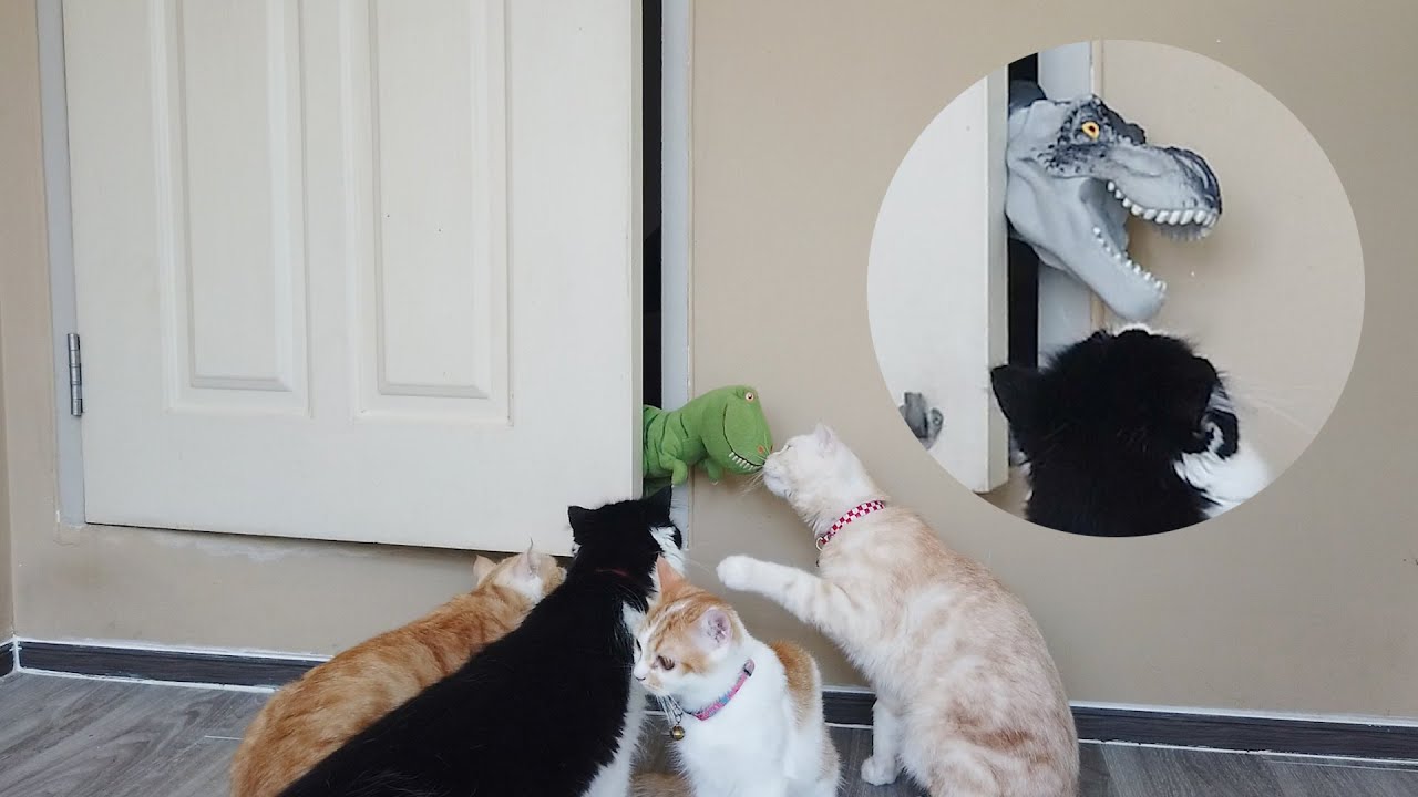 Cute cats VS dinosaur - YouTube