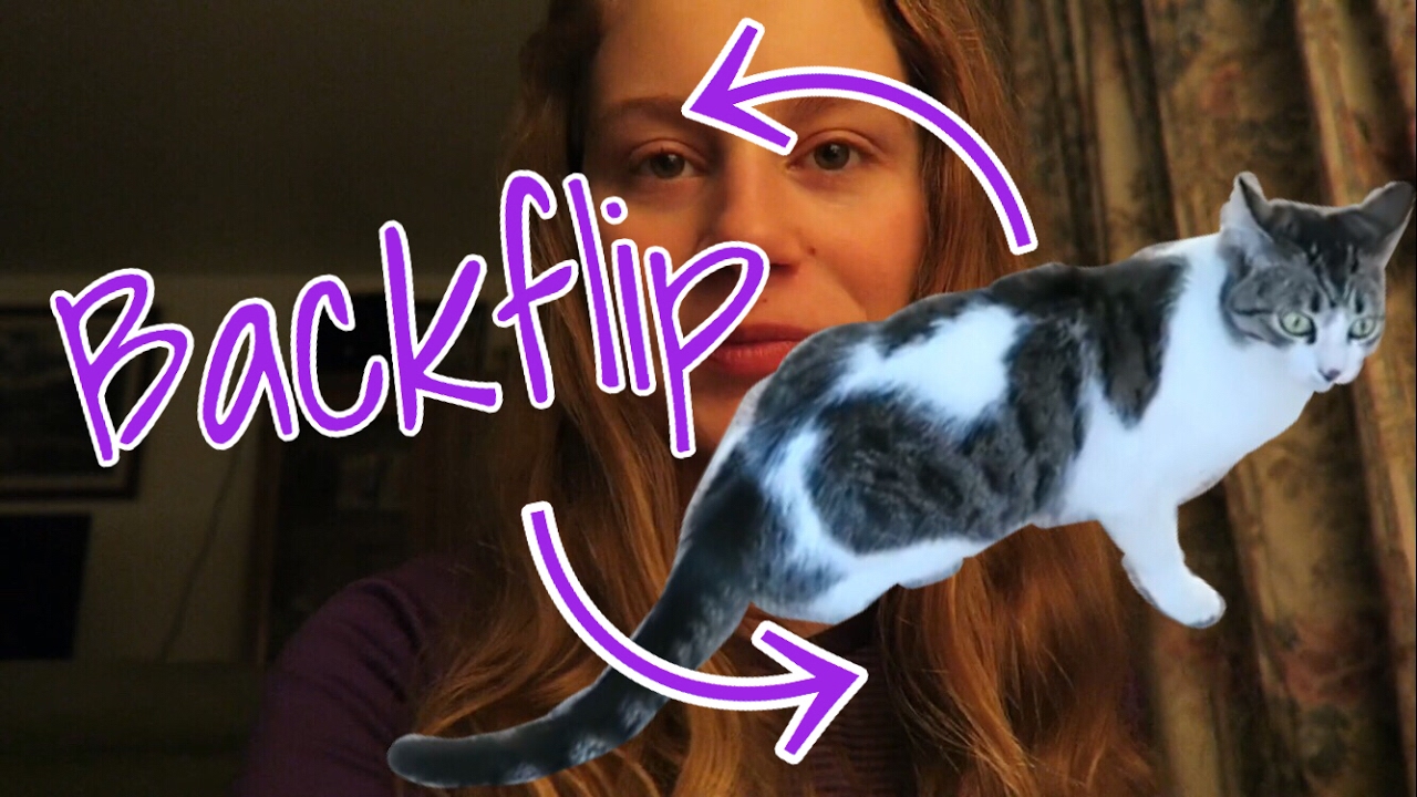 TEACHING MY CAT HOW TO DO A BACKFLIP-ashleysvlogginghere - YouTube