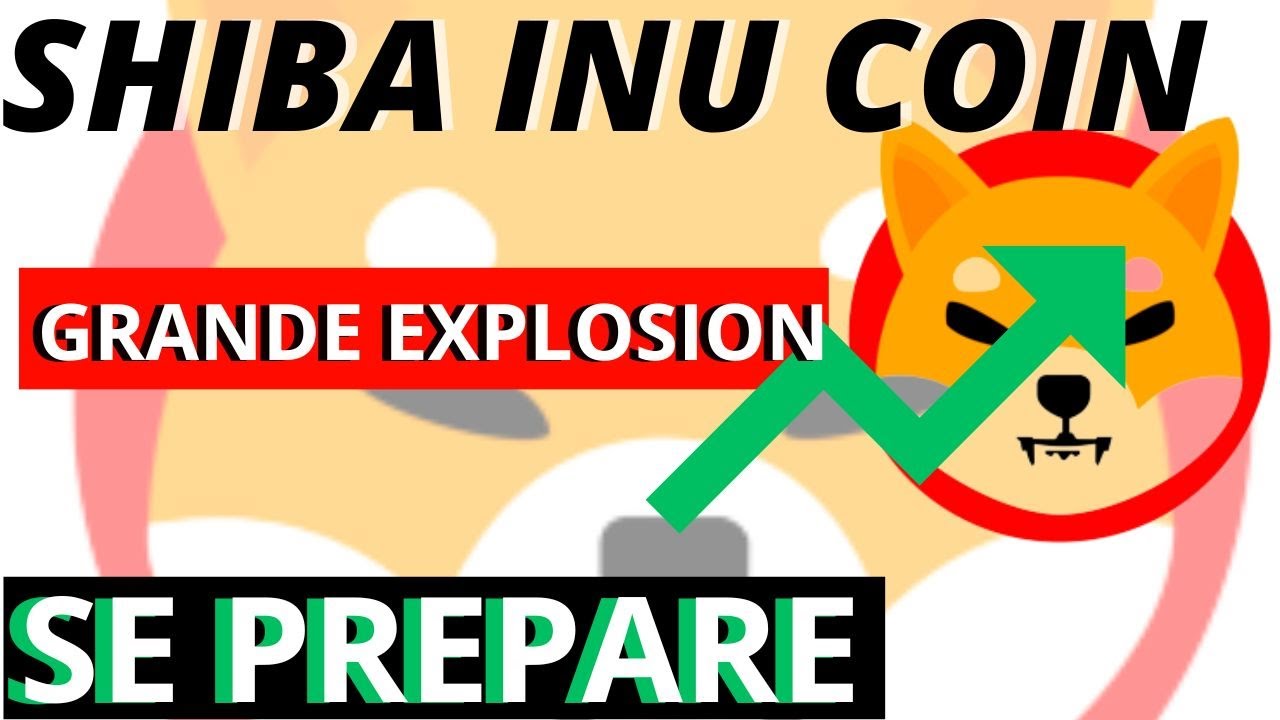 L'explosion la plus grande de [SHIBA INU ] SHIB se prépare vraiment et ...