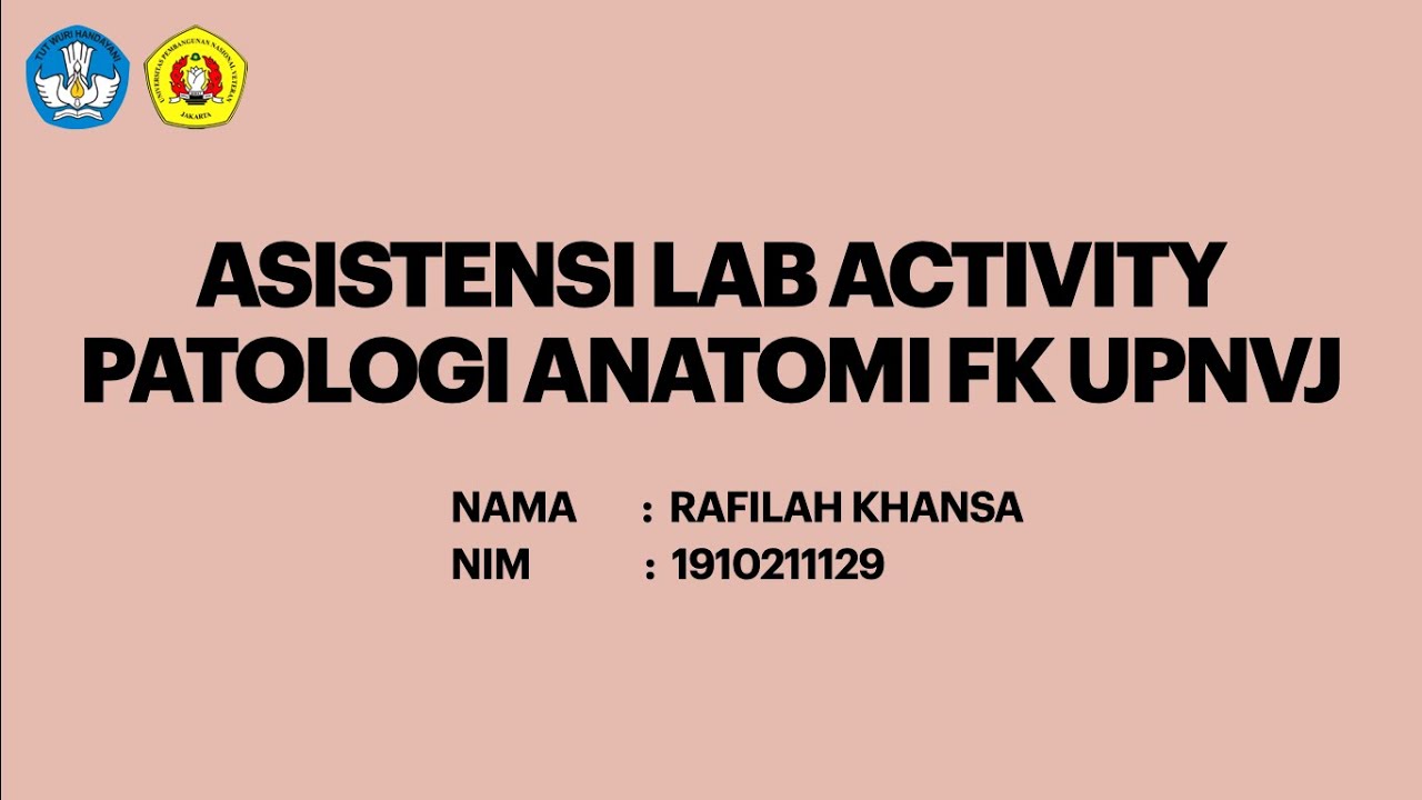 Asistensi Lab Activity Patologi Anatomi FK UPNVJ - YouTube