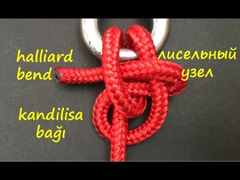 halliard bend - halyard bend - kandilisa bağı (kargafunda bağı) (silongo bağı) - лисельный  узел