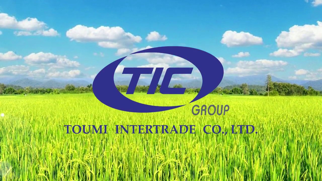 Toumi Videos - YouTube