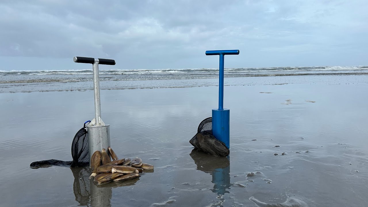 How to Clean Razor Clams in a matter of minutes - YouTube