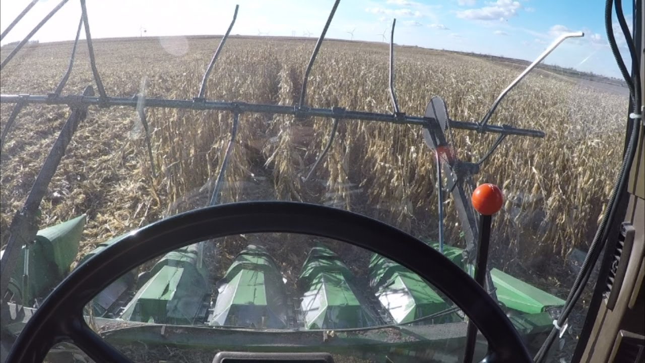 One Day of 2019 Corn Harvest in Southwest Iowa (Corn Harvest #2) - YouTube