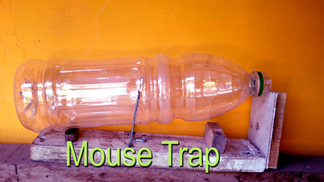 How to create simple mouse trap - YouTube